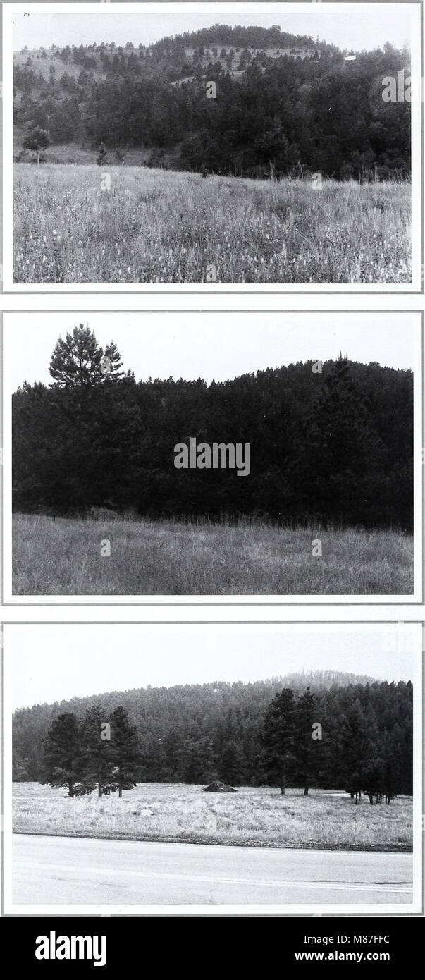 This photographic record from 2001 documents eighty years of changes in ...