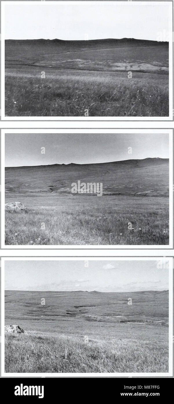 This 2001 photographic record documents eighty years of vegetation and ...