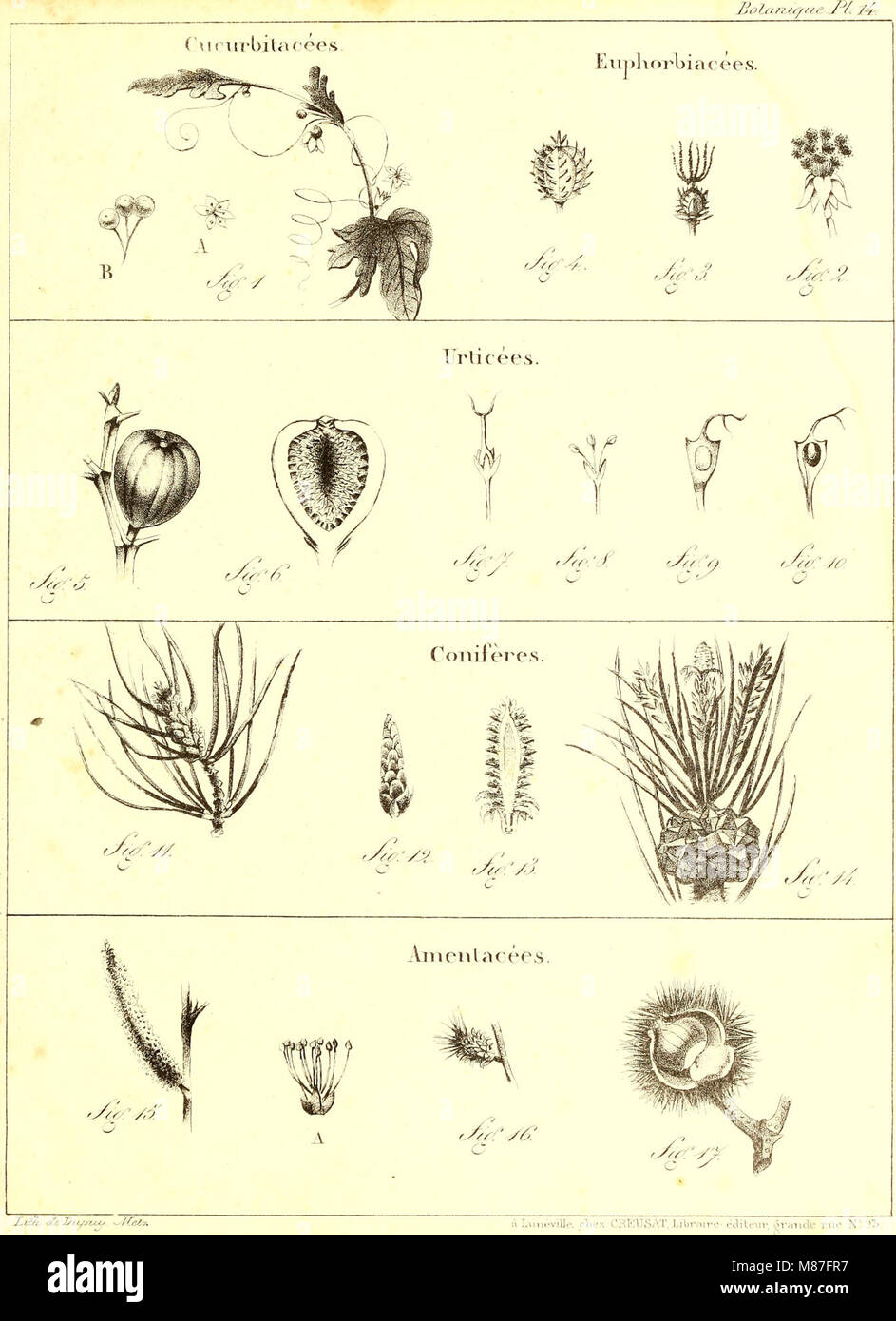 This 1834 publication presents a comprehensive overview of natural ...