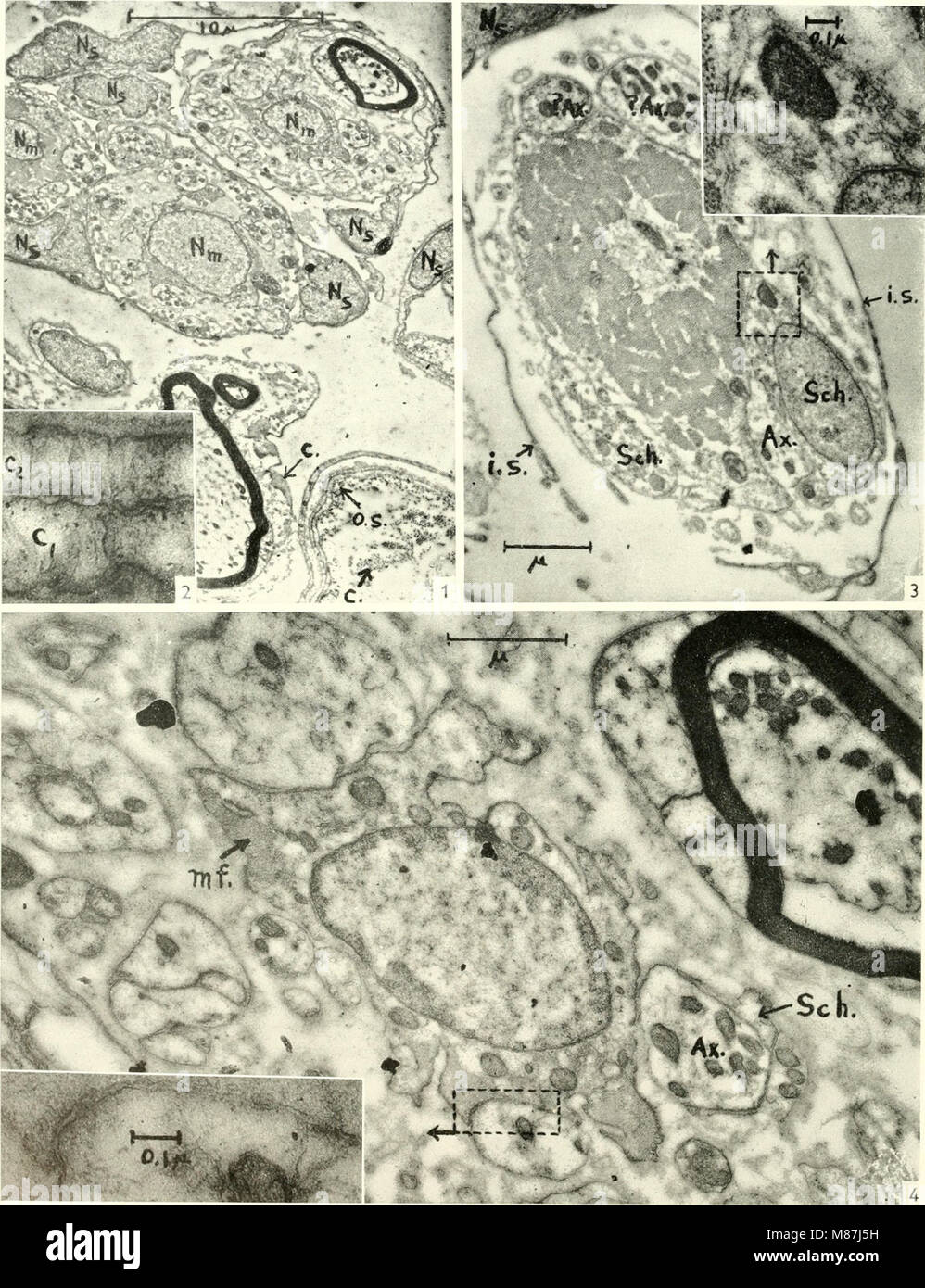 Electron microscopy; proceedings of the Stockholm Conference, September ...