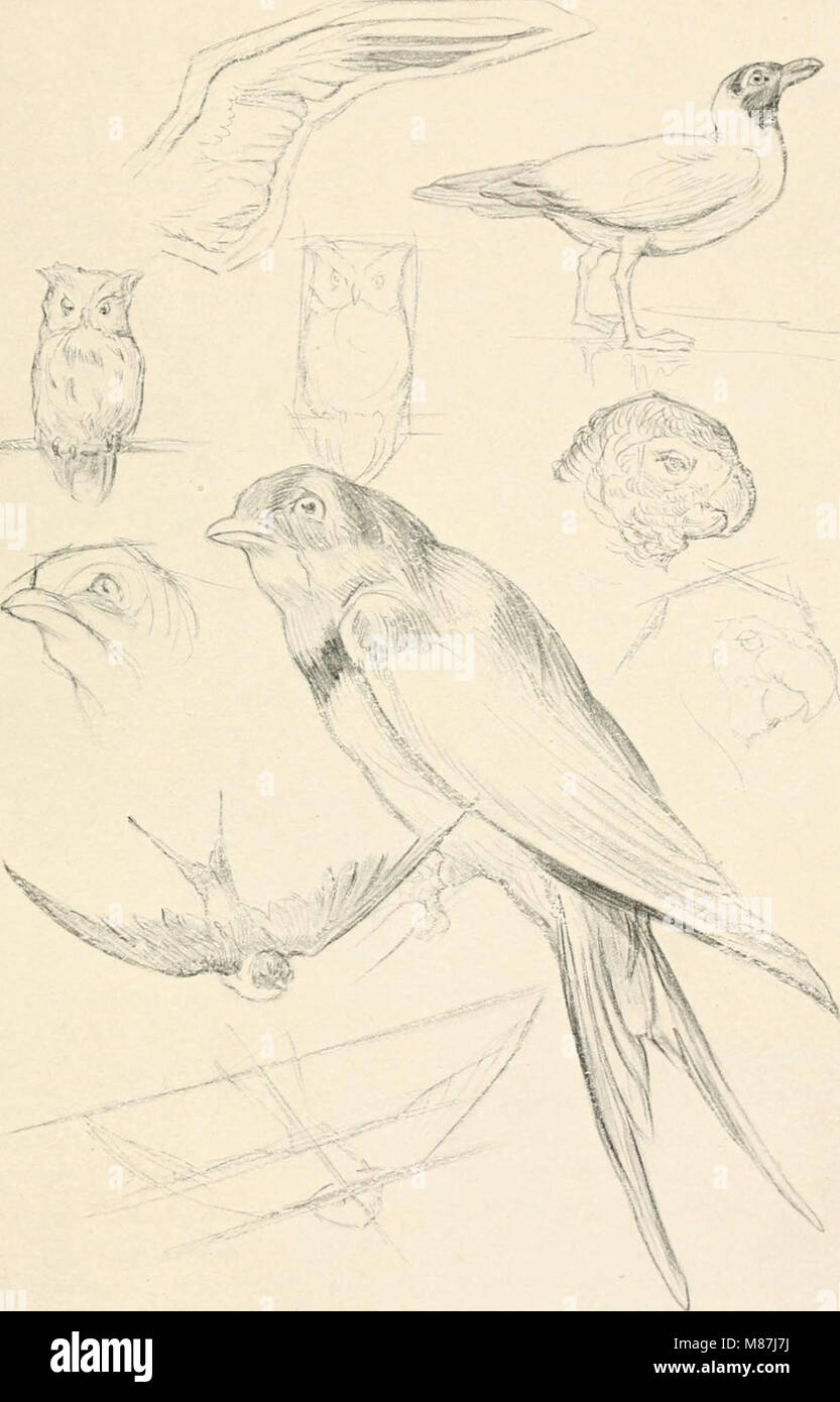 *Drawing for Beginners* (1920) is an instructional book that provides ...