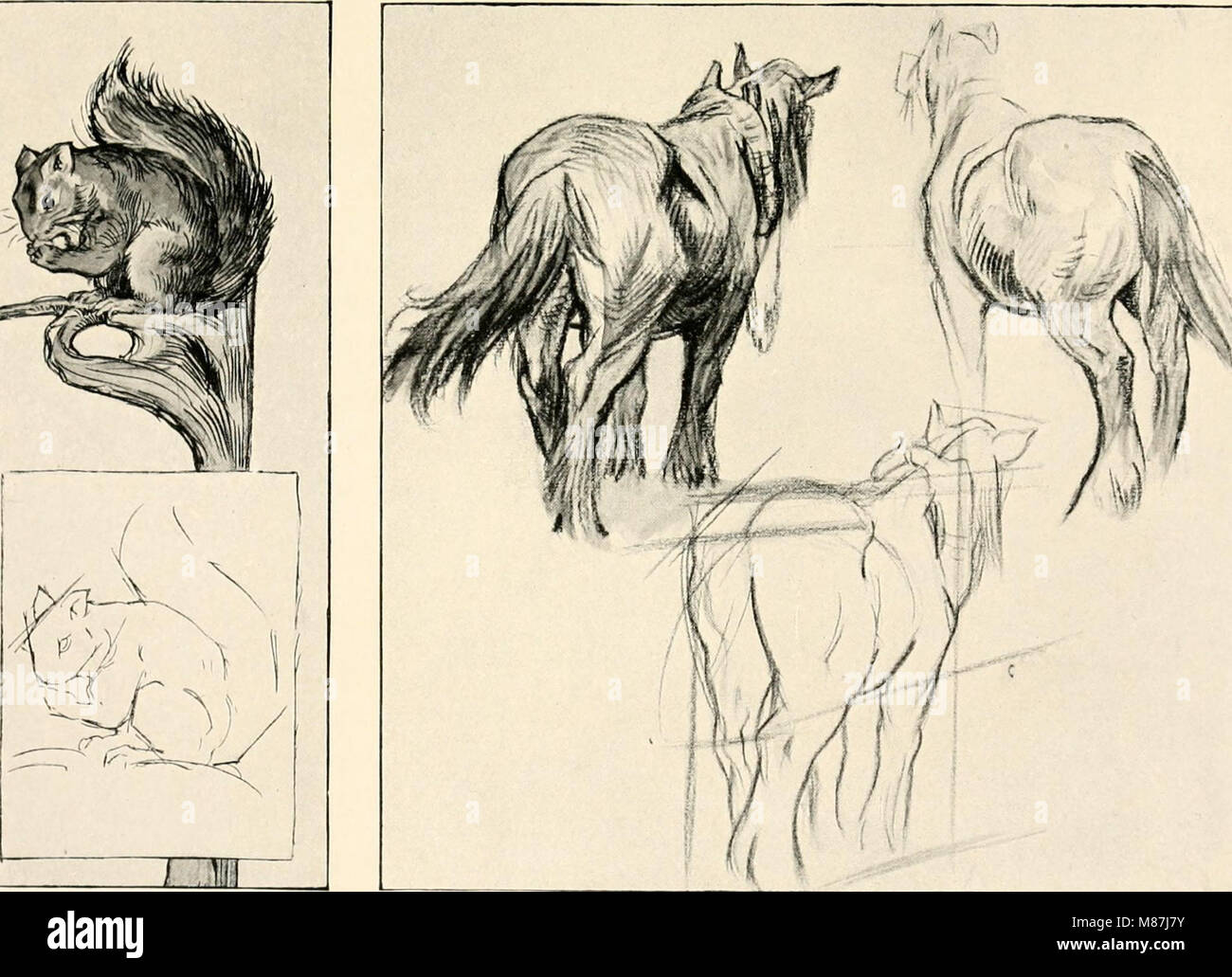 'Drawing for Beginners' (1920) offers an introductory guide to basic ...