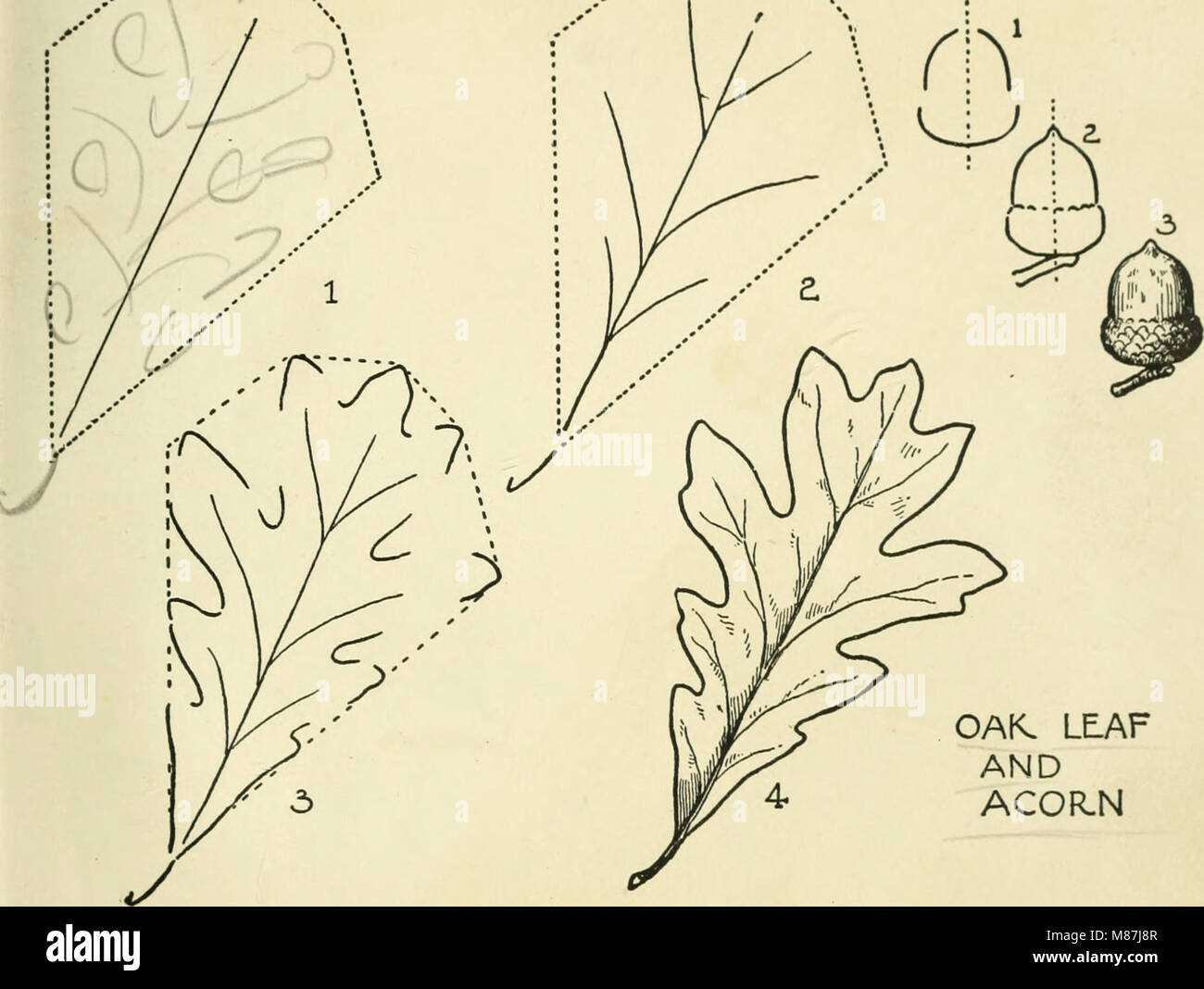 Drawing made easy - a helpful book for young artists; the way to begin ...