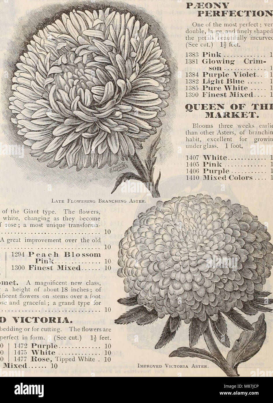 1901 calendar hi-res stock photography and images - Alamy