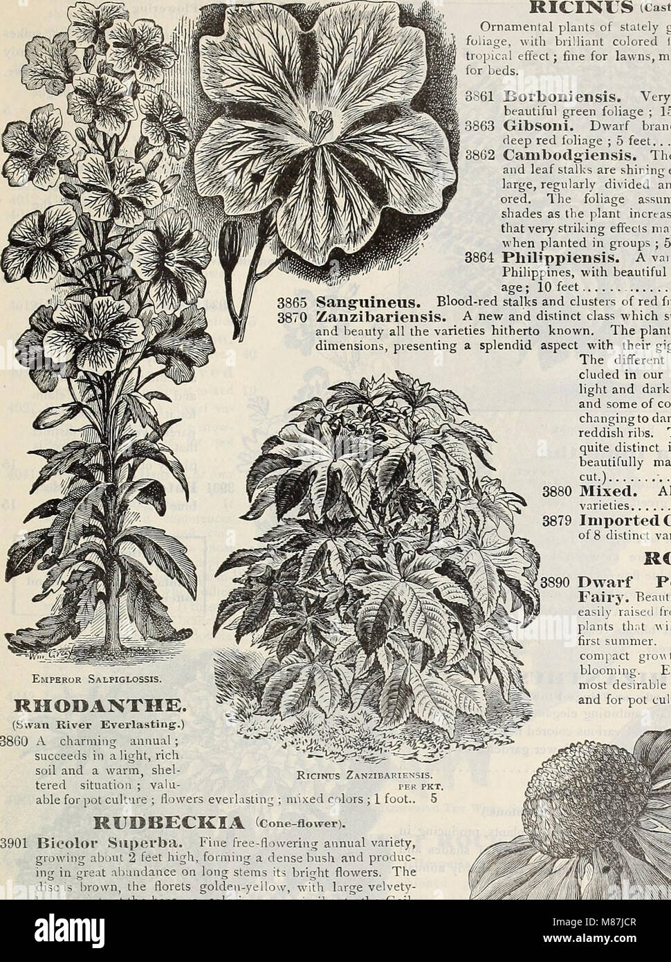 1901 calendar hi-res stock photography and images - Alamy