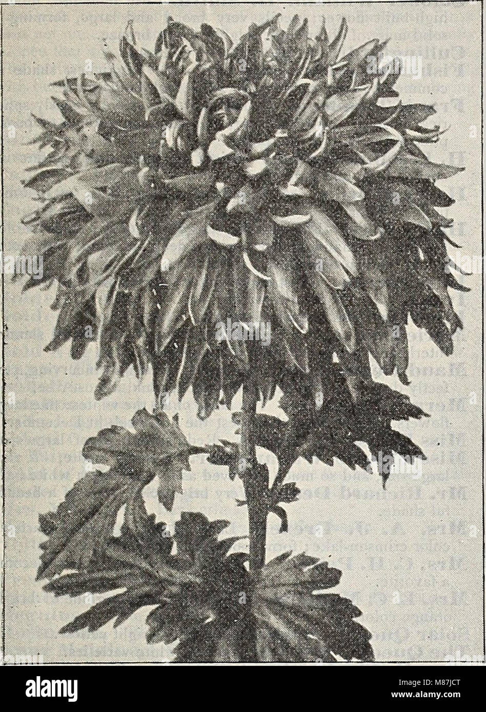 1901 calendar hi-res stock photography and images - Alamy