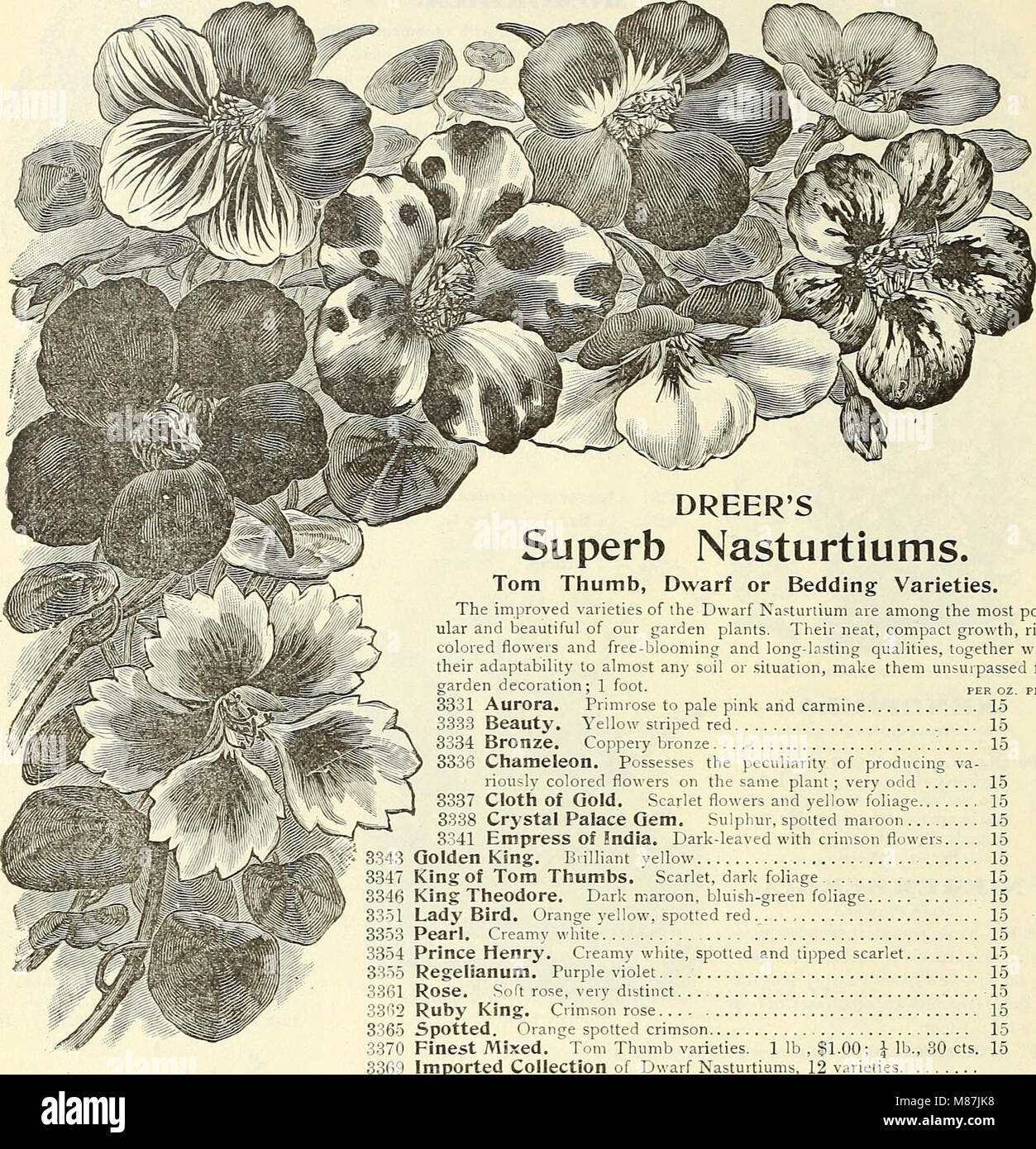 1902 calendar hi-res stock photography and images - Alamy