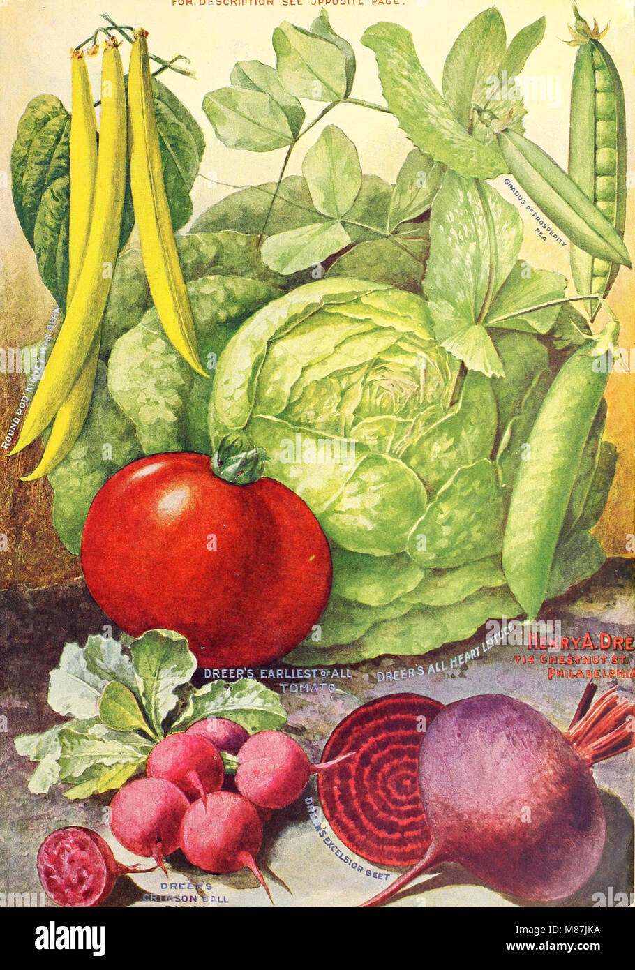 1902 calendar hi-res stock photography and images - Alamy