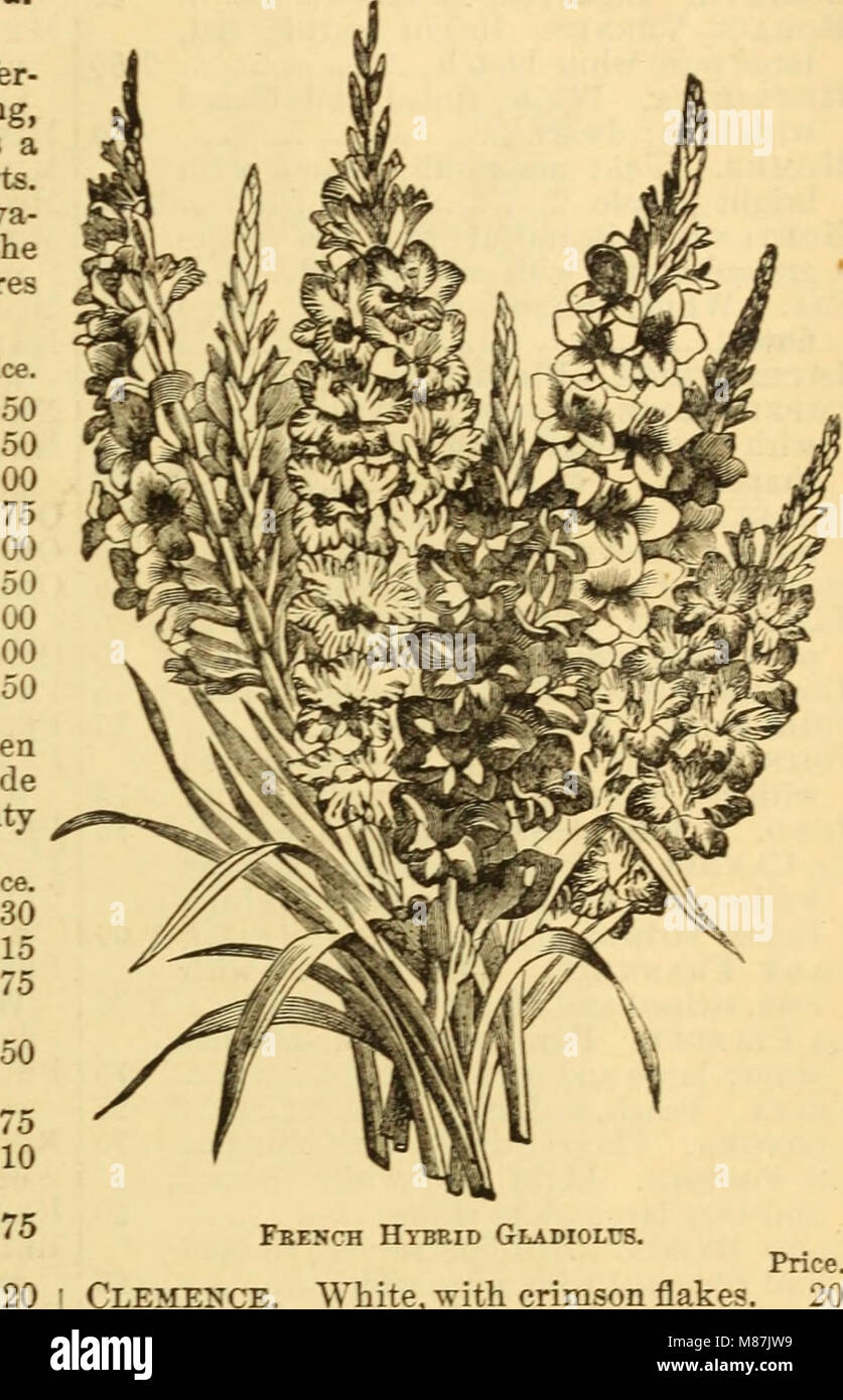 Dreer's garden calendar - 1879 (1879) (20844812800 Stock Photo - Alamy