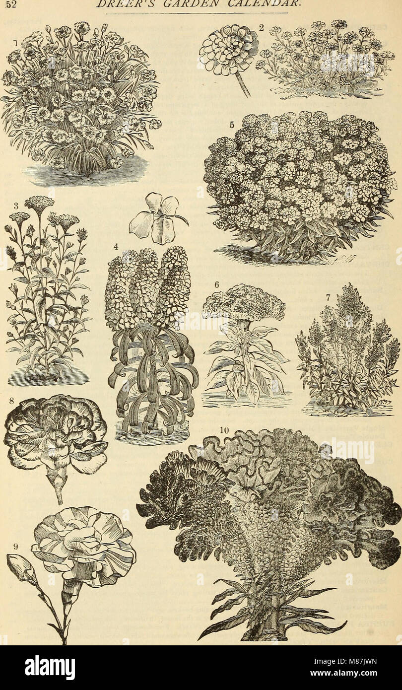 Dreer's garden calendar - 1884 (1884) (14596378758 Stock Photo - Alamy