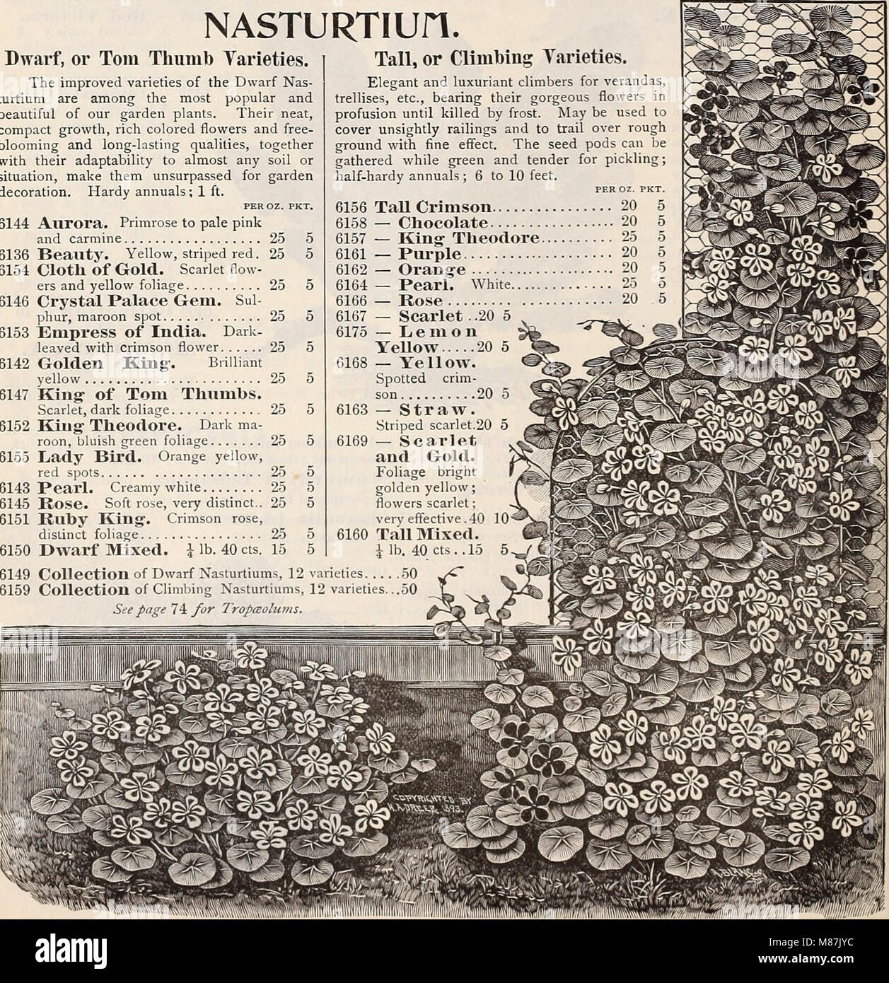 Calendar 1896 hi-res stock photography and images - Alamy