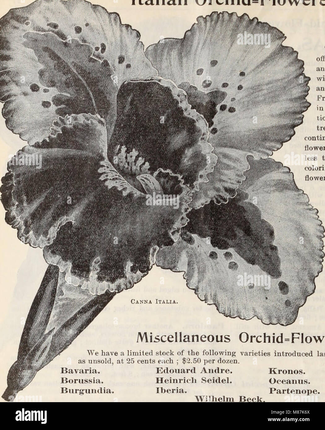 Dreer's wholesale price list provides an extensive catalog of plants ...