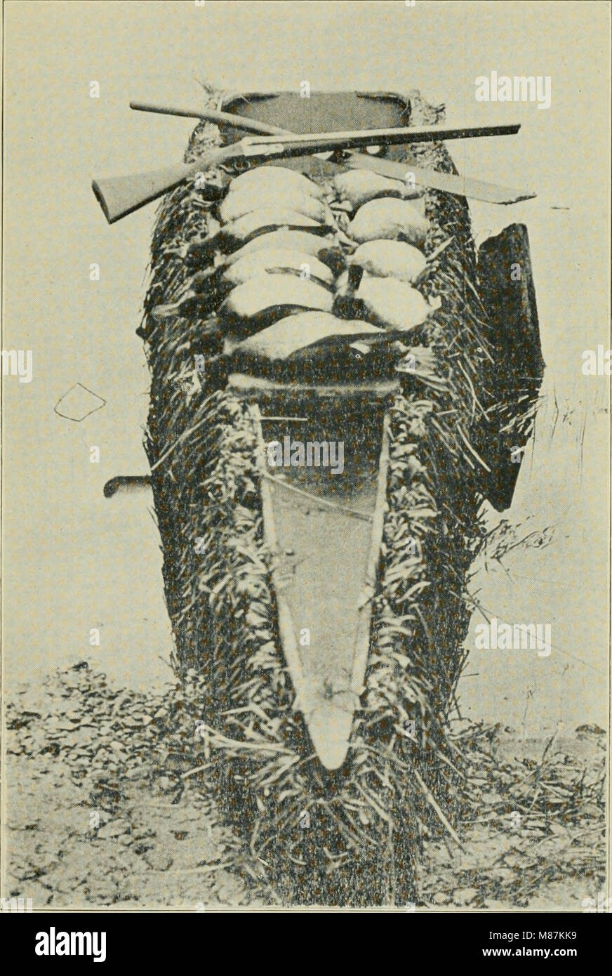 The 1919 book 'Ducking Days' provides narratives about duck hunting ...