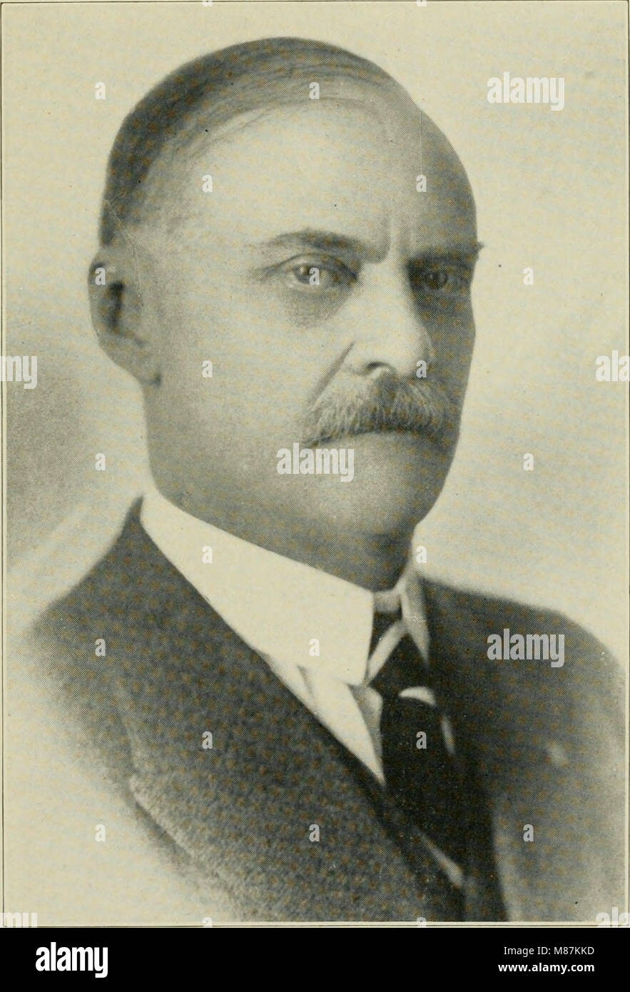 Ducking days - narratives of duck hunting, studies of wildfowl life ...