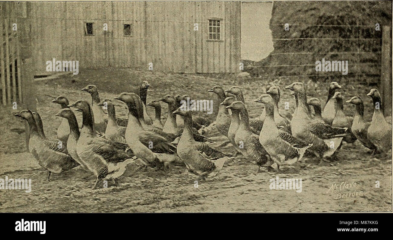 This collection of articles focuses on the breeding, rearing, feeding ...