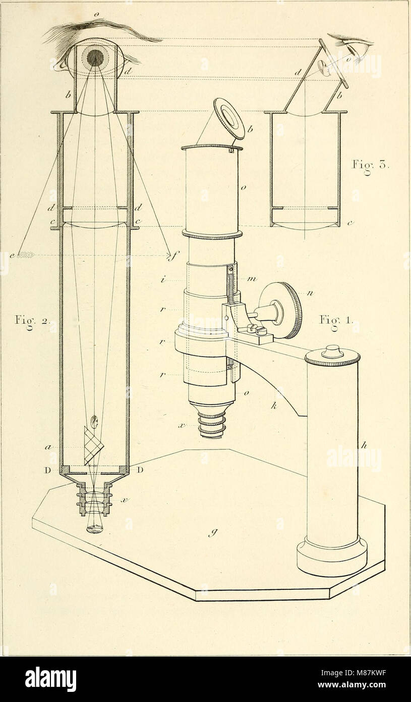 Du microscope et des injections - dans leurs applications à l'anatomie ...