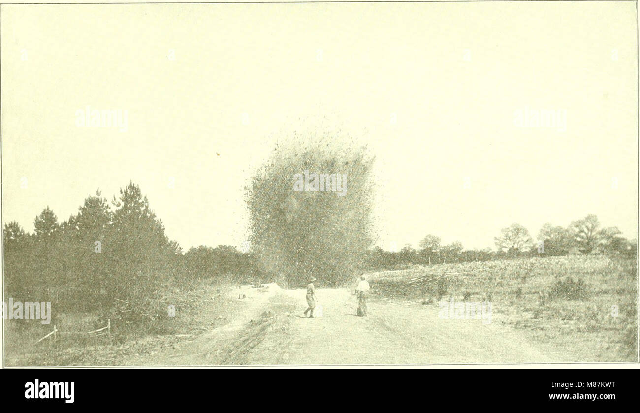 Du Pont farmer's handbook; instructions in the use of dynamite for ...