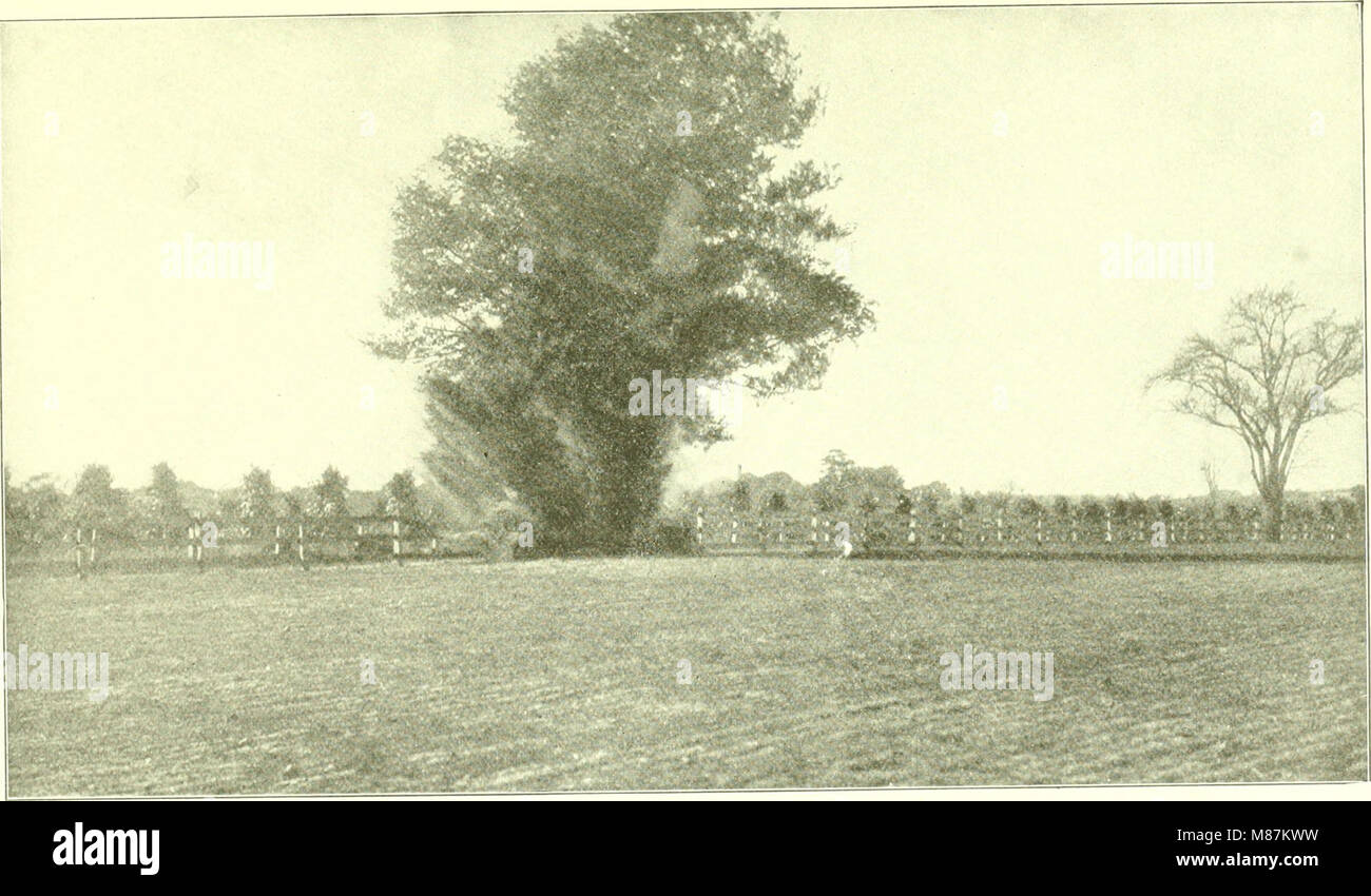 Du Pont farmer's handbook; instructions in the use of dynamite for ...