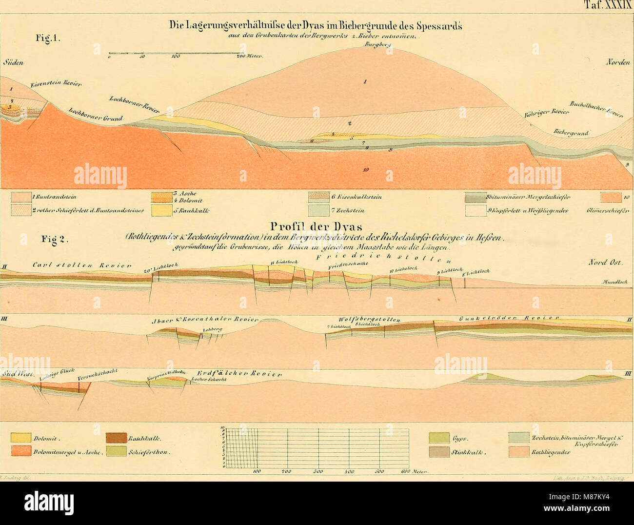 *Dyas oder die Zechsteinformation und das Rothliegende* (1861) is a ...