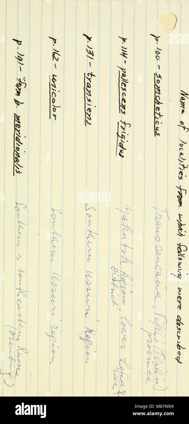 Aradidae hi-res stock photography and images - Alamy