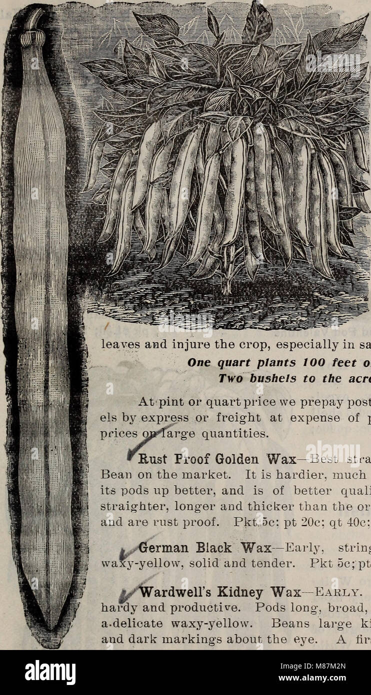 The E. Annabil and Co. Seed Annual for the season of 1902 provides ...