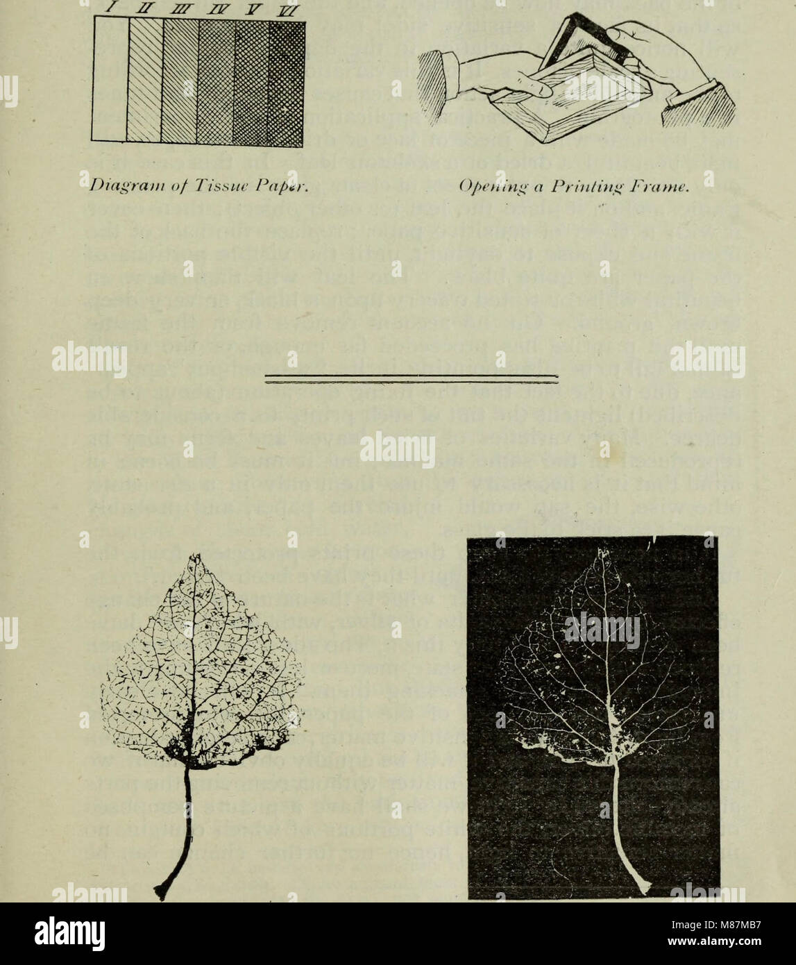 Beginners text book hi-res stock photography and images - Alamy