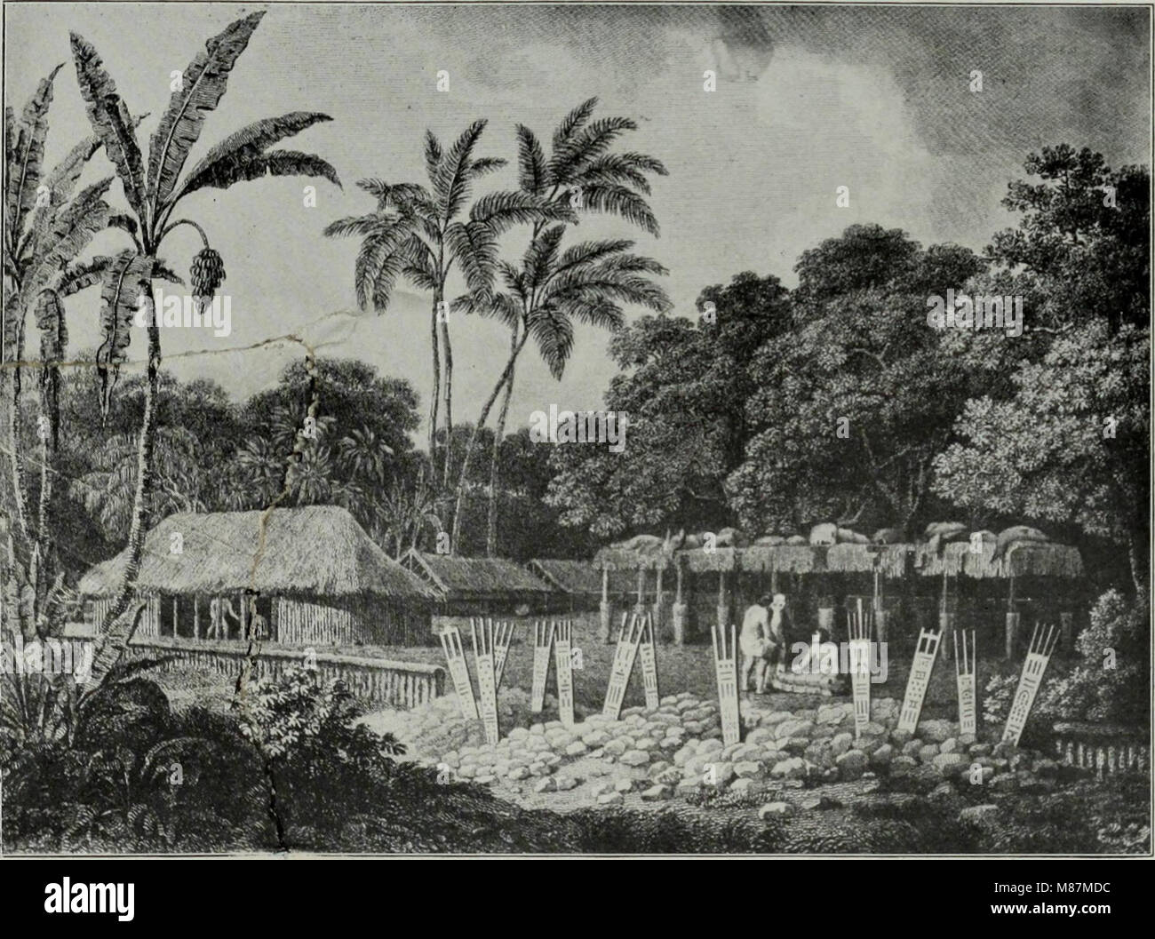 'Eastern Pacific Lands' (1910) focuses on the islands of Tahiti and the ...