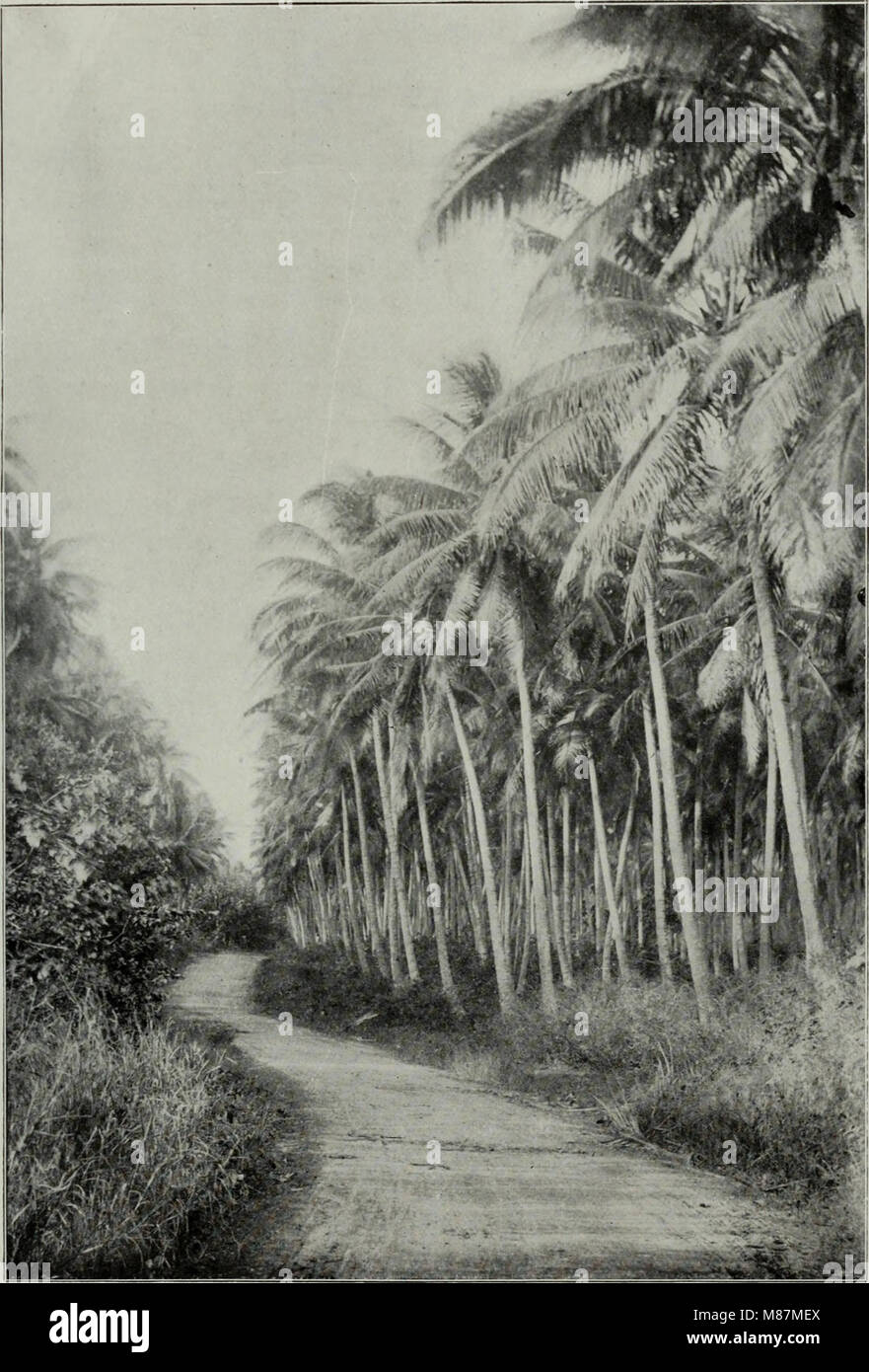 Eastern Pacific Lands (1910) details the geography, culture, and ...