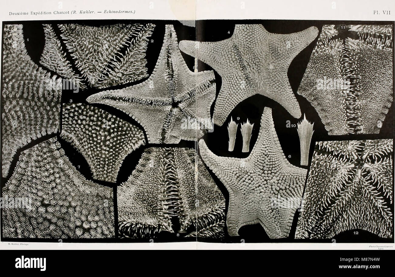 *Echinodermes* (1912) focuses on the study of echinoderms, including ...