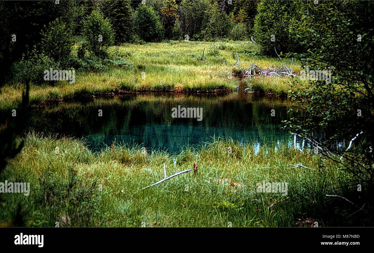 This ecological inventory (2000) focuses on wetland sites in the ...