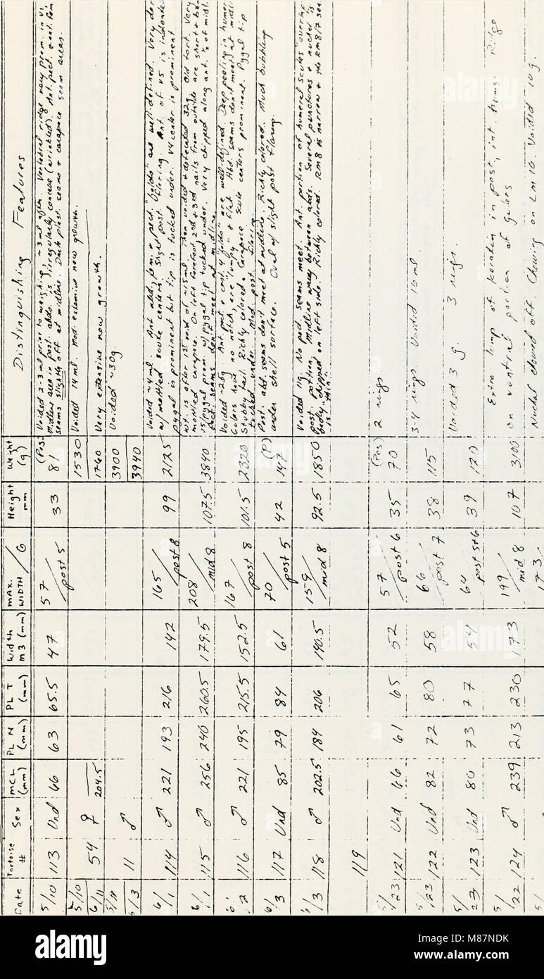 Ecology of a population of desert tortoises, Gopherus agassizi, in Ward ...