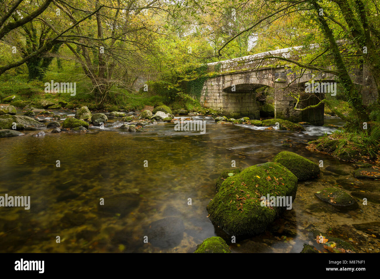 The River Meavy and River Plym meet at Shaugh Bridge in Dewerstone Wood ...
