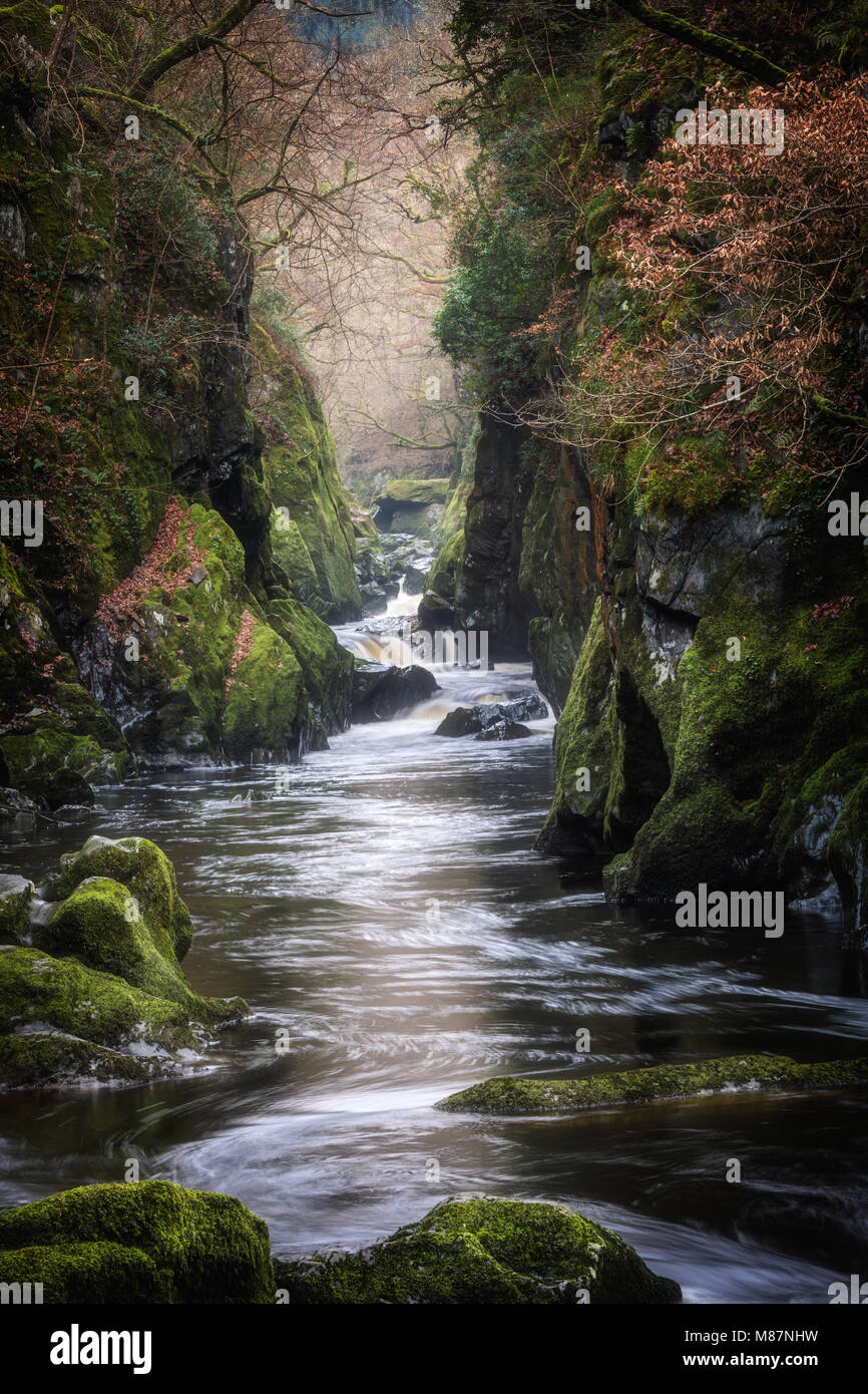 North y hi-res stock photography and images - Alamy