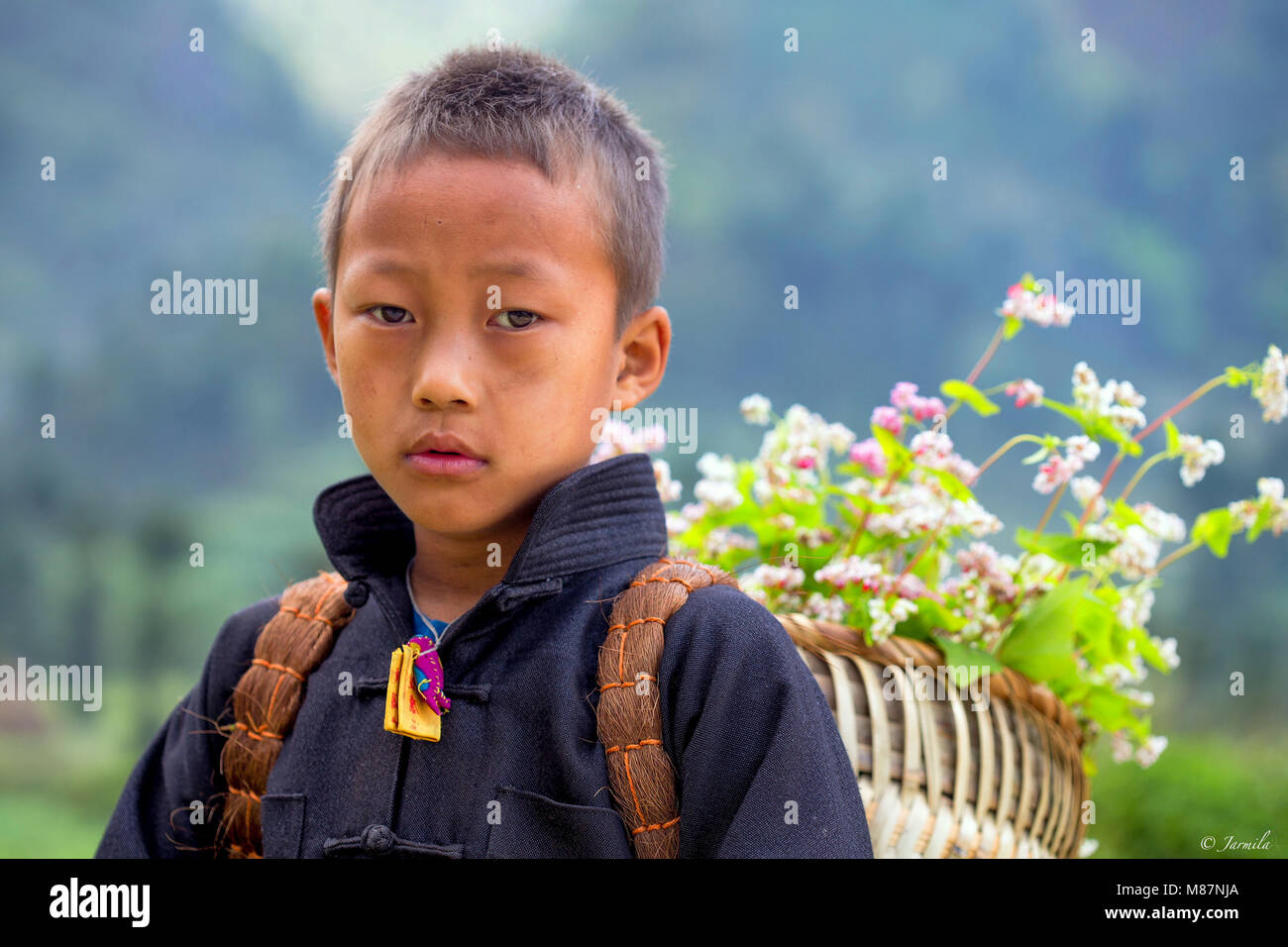 H'mong Ethnic Minority boy and Buckwheat flowers by © Jarmila Stock ...