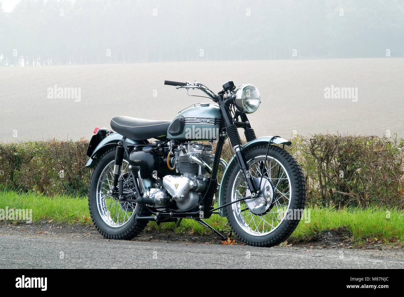 1956 Triumph 650cc TR6 Trophy Stock Photo - Alamy