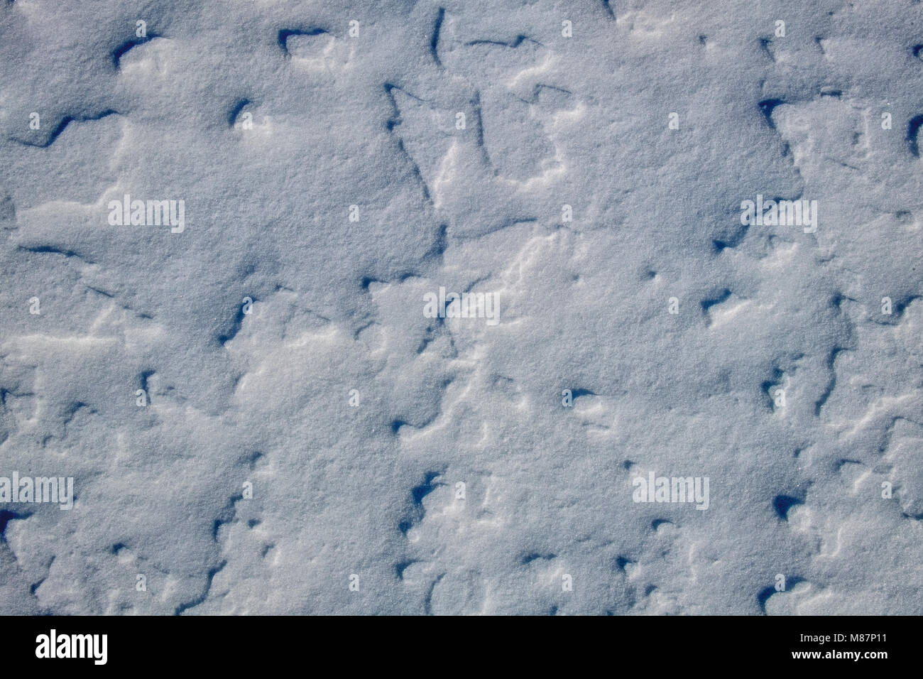 Blown smooth hi-res stock photography and images - Alamy