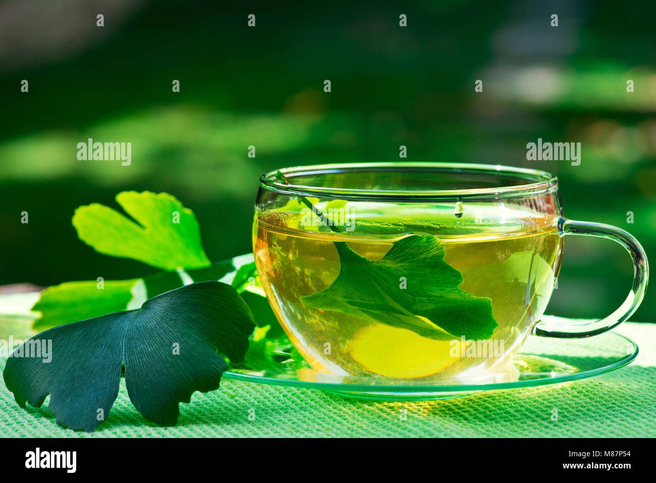 Glass of Herbaceous Tea with Ginkgo Leaves Stock Photo - Alamy