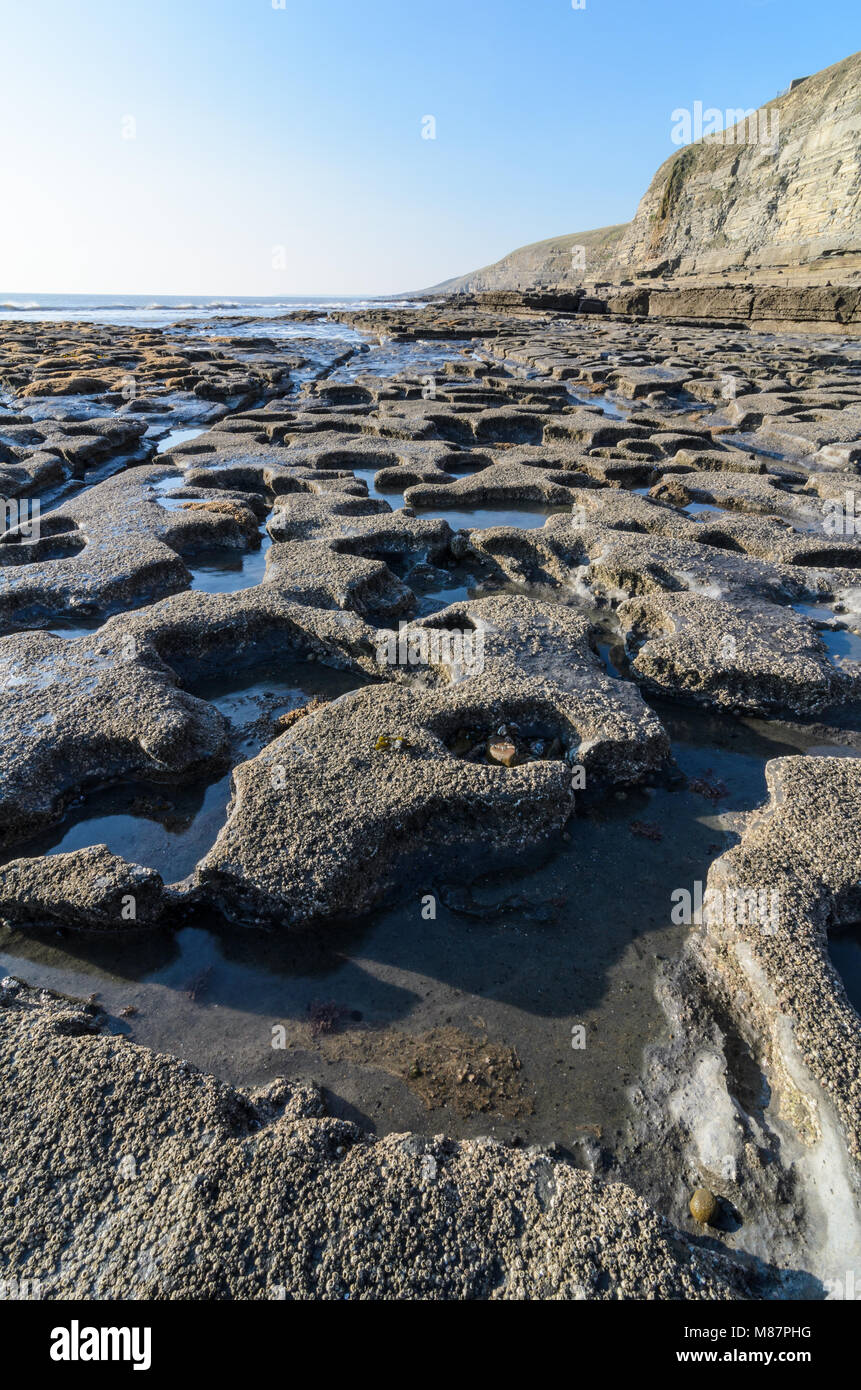 Tidal Pools in the rock formations along Dunraven Bay, in Southerndown ...