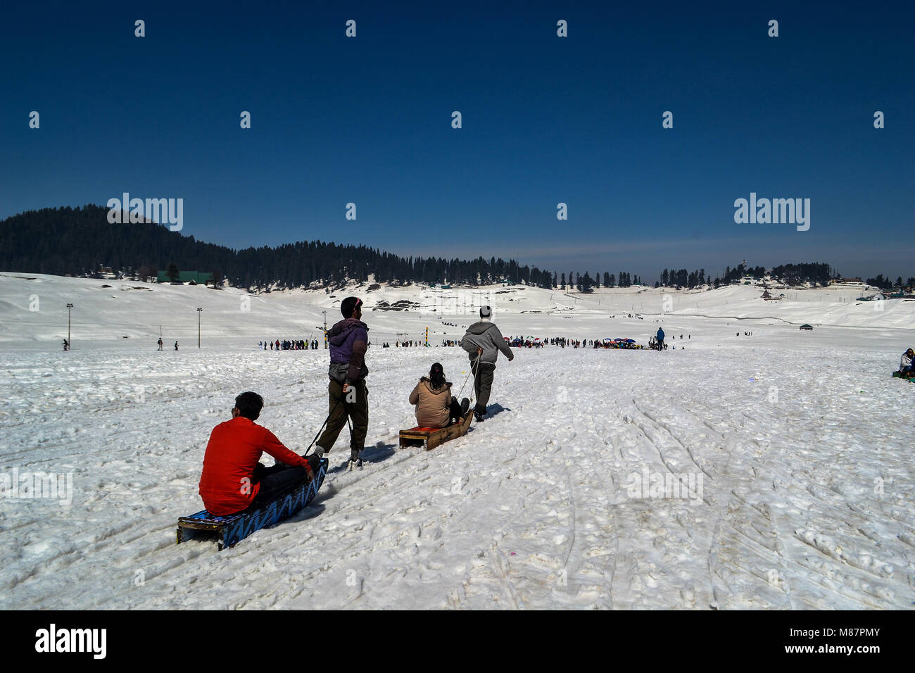 Indian tourists ride on sledge hi-res stock photography and images - Alamy