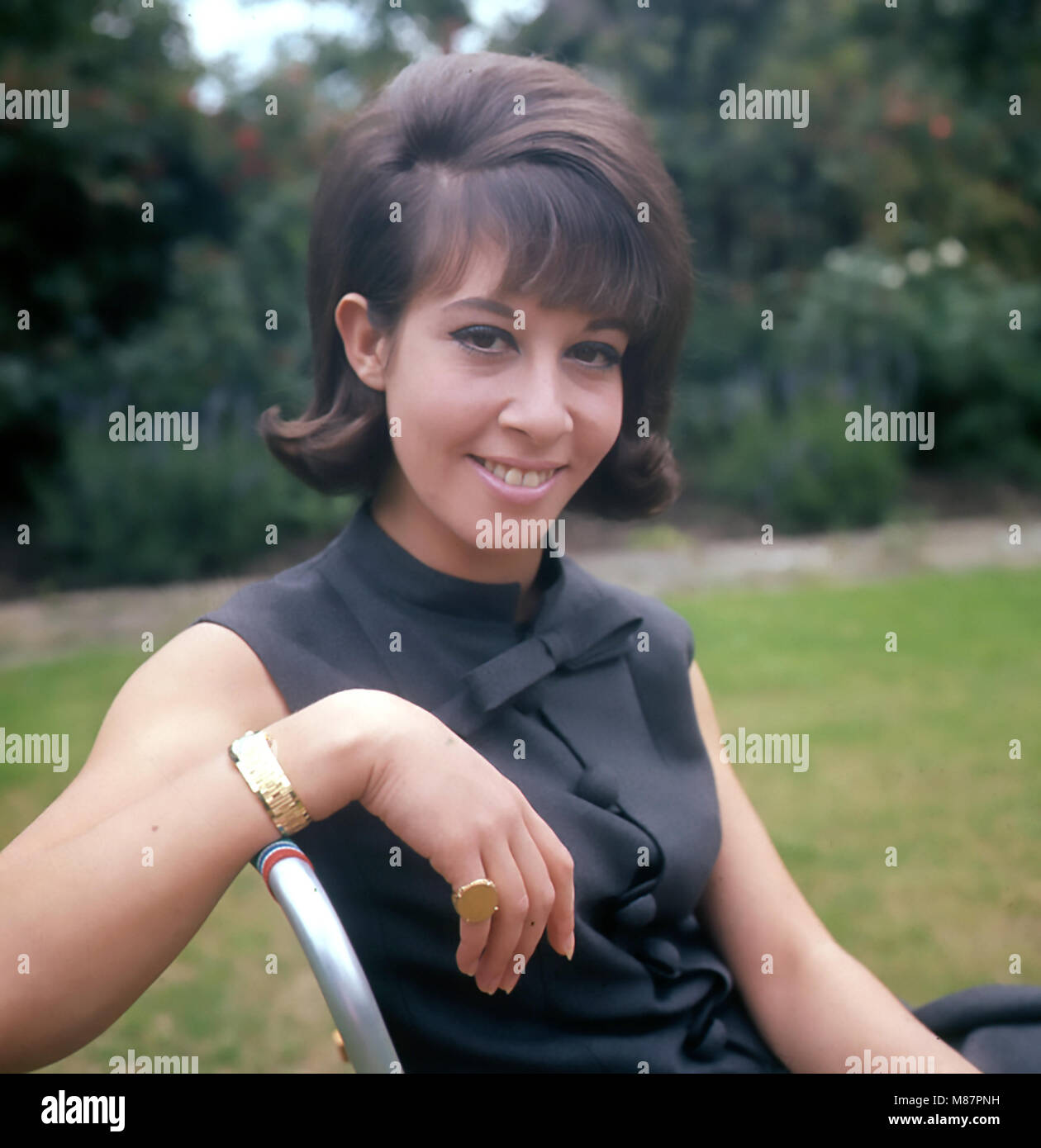 Heen shapiro hi-res stock photography and images - Alamy