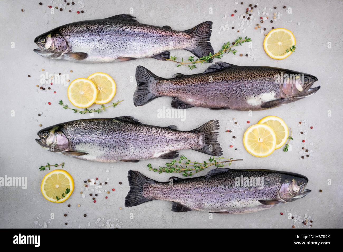 Fresh fish. Trout with salt, lemon and spices thyme herbs on gray ...