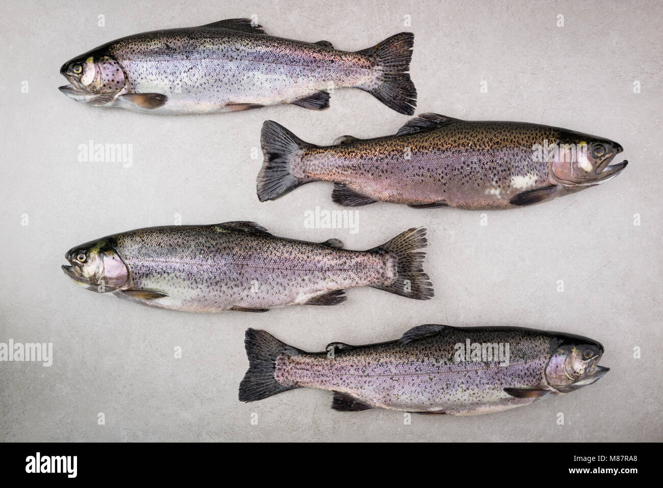 Fresh fish. Trout fish on gray background. Cooking fish. Top view Stock ...
