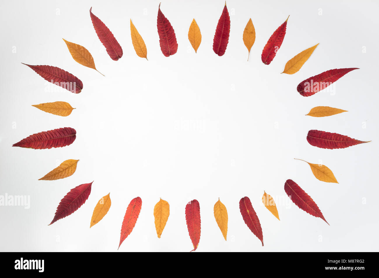 Autumn composition. Frame of autumn leaves. Autumn background. Top view ...