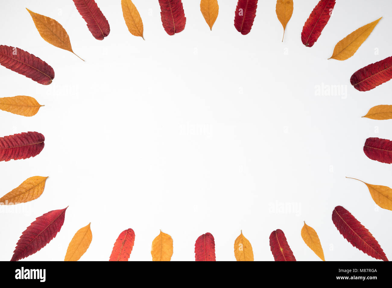 Autumn composition. Frame of autumn leaves. Autumn background. Top view ...