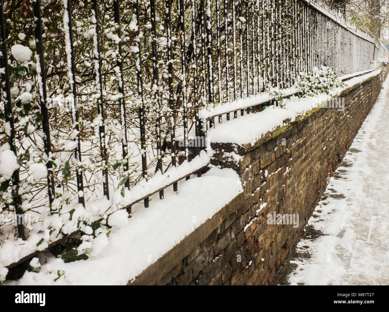 Tree covered brick path hi-res stock photography and images - Alamy