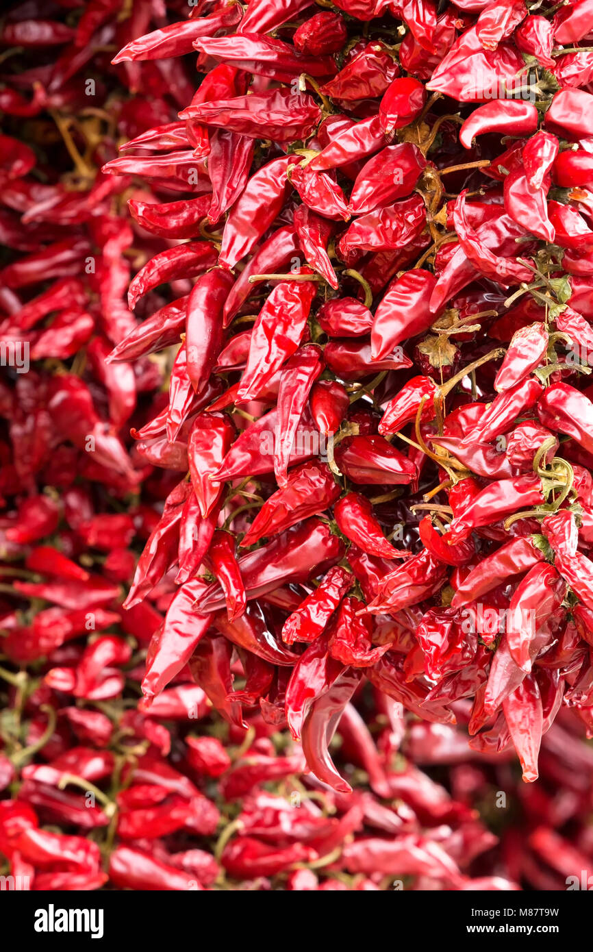 Spices paprika and chilli hi-res stock photography and images - Alamy