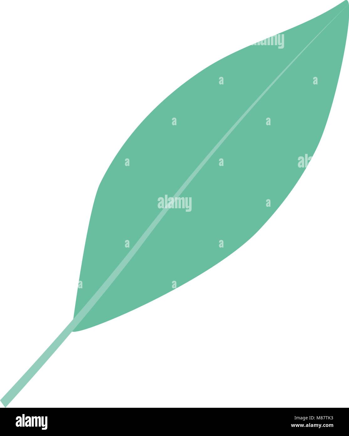white background of stem with leaf in closeup Stock Vector Image & Art ...