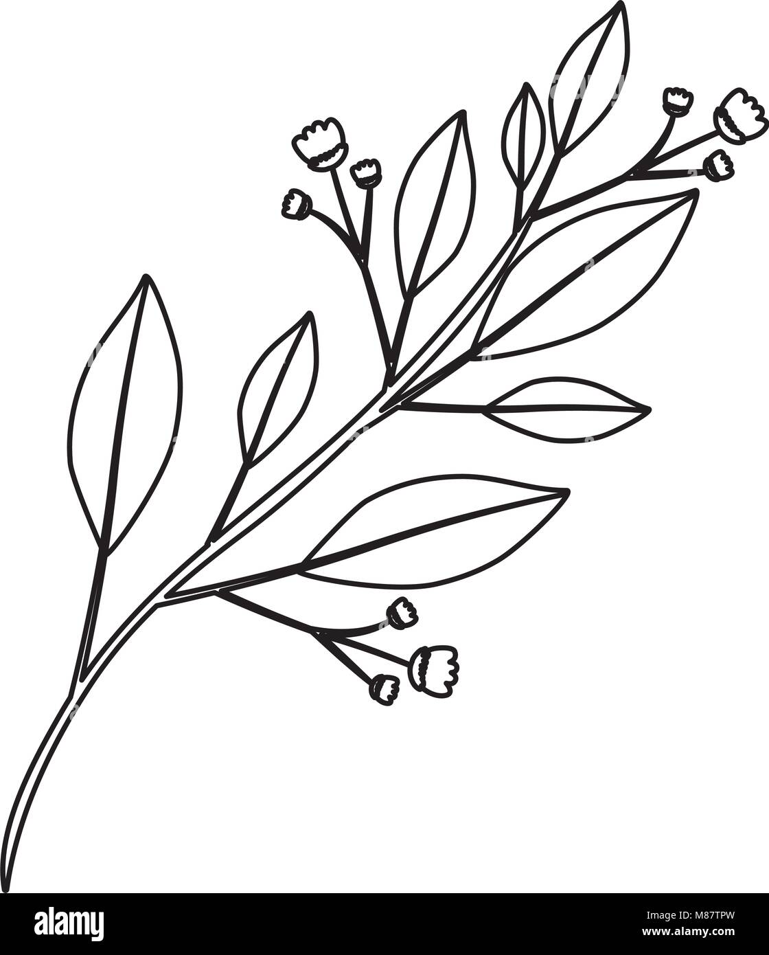 monochrome contour of branch with leaves and small flowers Stock Vector ...