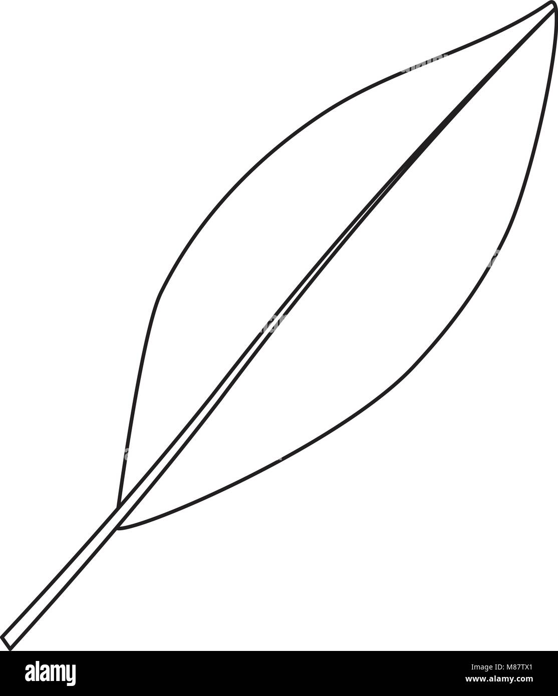 monochrome contour of stem with leaf in closeup Stock Vector Image ...