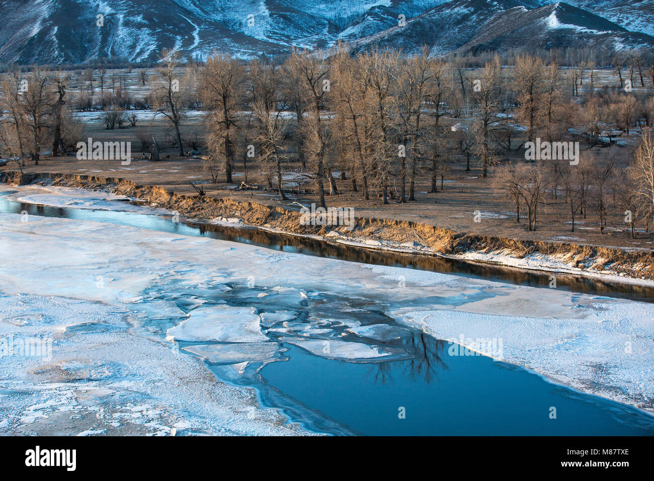 Mongolian Nature Winter
